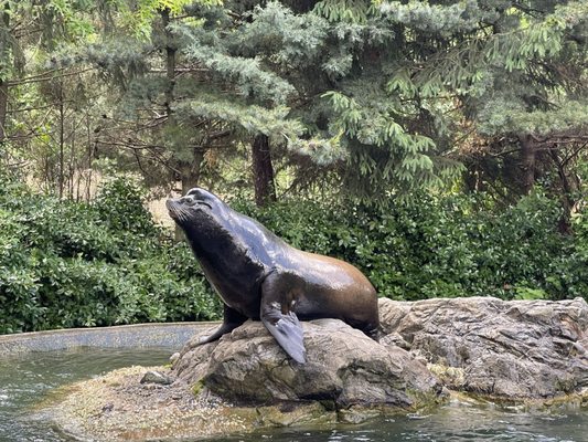 QUEENS ZOO - Updated December 2025 - 1132 Photos & 224 Reviews - 5351 ...