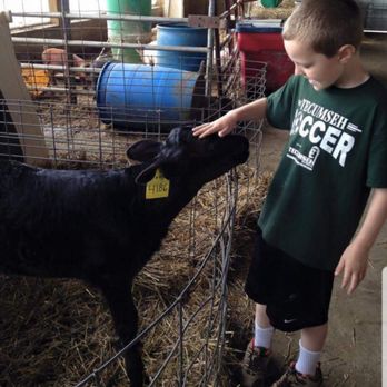 CALDER DAIRY & FARM - Updated August 2025 - 127 Photos & 42 Reviews ...