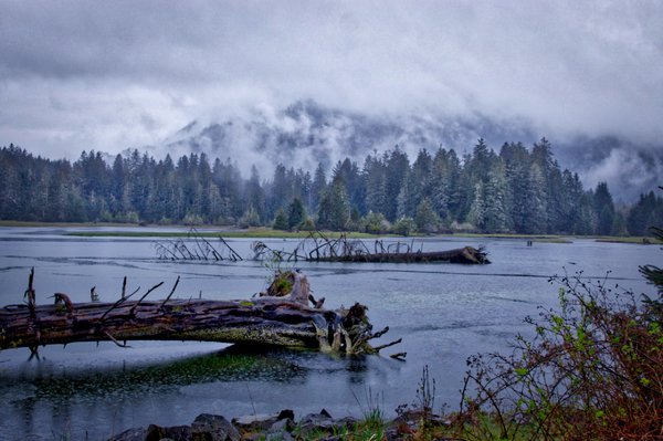 PACHEEDAHT CAMPGROUNDS - 24 Photos - 1 Pachidah Road, Port Renfrew, BC ...