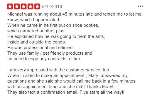 GREEN FLASH PEST AND TERMITE CONTROL - Updated September 2025 - 14 ...