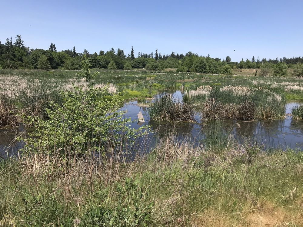 TALKING WATER GARDENS - Updated May 2025 - 16 Photos - 577 Waverly Dr ...