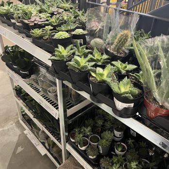 IKEA - Updated September 2025 - 400 Photos & 142 Reviews - 945 Market ...