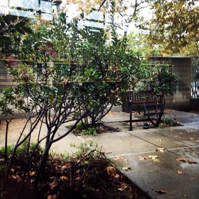 CARMEL MOUNTAIN RANCH LIBRARY - Updated October 2025 - 18 Photos & 33 ...