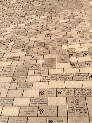 GREATER BIRMINGHAM HUMANE SOCIETY - Updated October 2025 - 50 Photos ...