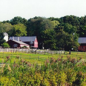 SUGAR RIDGE FARM - Updated July 2025 - 19 Photos - 46 Pine St, Dover ...