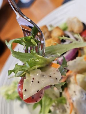 LYDIA’S ITALIAN KITCHEN - Updated December 2025 - 216 Photos & 139 ...