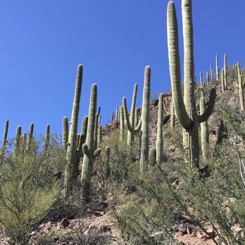 GATES PASS - Updated December 2025 - 414 Photos & 36 Reviews - Gates ...