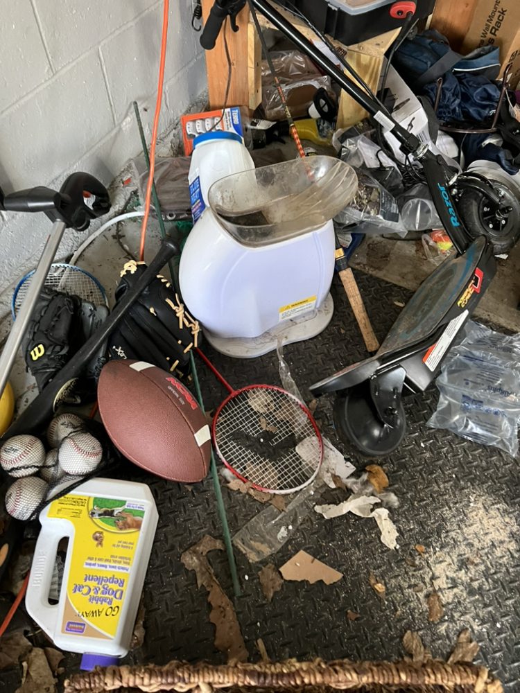 COACH MOVERS - Updated October 2025 - 14 Photos - 13 Sention Ave ...