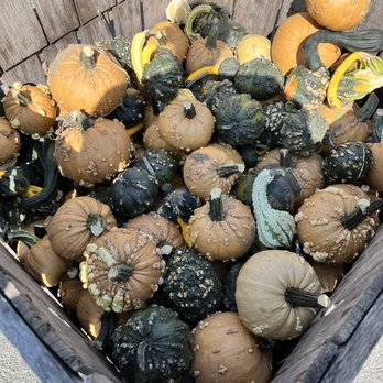 CARVER HILL ORCHARDS - Updated October 2025 - 61 Photos & 62 Reviews ...