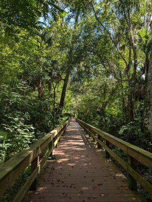 BIG TREE PARK - Updated August 2025 - 186 Photos & 42 Reviews - 761 ...