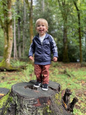 WONDERWOOD PARK - Updated September 2025 - 39 Photos & 14 Reviews - 5304 32nd Ave, Lacey ...