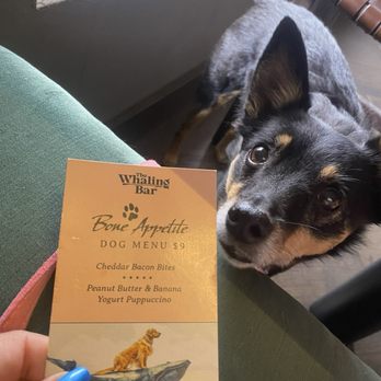 THE WHALING BAR - Updated December 2024 - 214 Photos & 76 Reviews ...