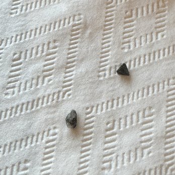 GAMARJOBA - Updated July 2024 - 192 Photos & 50 Reviews - 13033 ...