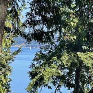 RAILROAD BRIDGE PARK - Updated January 2026 - 72 Photos & 18 Reviews ...