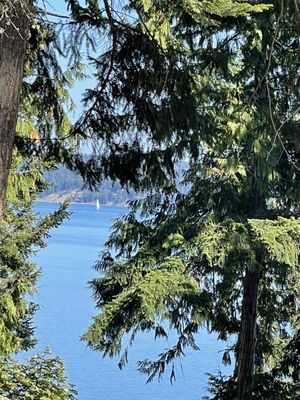 SEQUIM BAY STATE PARK - Updated August 2025 - 25 Photos & 14 Reviews ...