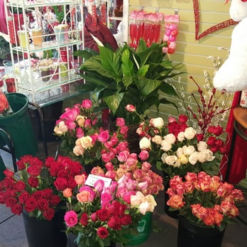 Flowers Belleville Mi | Best Flower Site