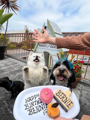 LE MARCEL BAKERY FOR DOGS - Updated December 2025 - 278 Photos & 170 ...