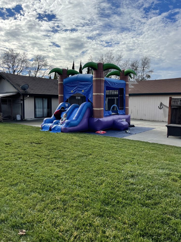 JUST JUMP BOUNCERS - Updated July 2025 - 24 Photos & 34 Reviews ...