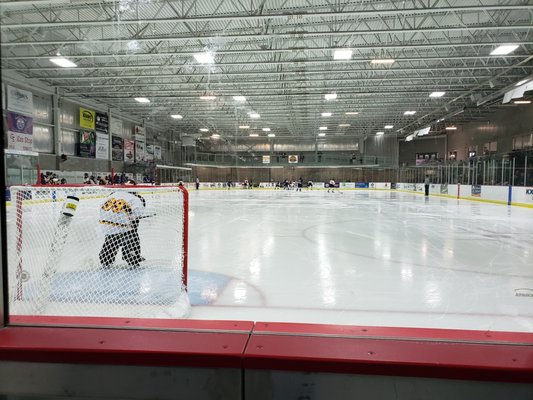 MAYSA ARENA - Updated January 2025 - 12 Photos - 2501 Burdick Expy W ...