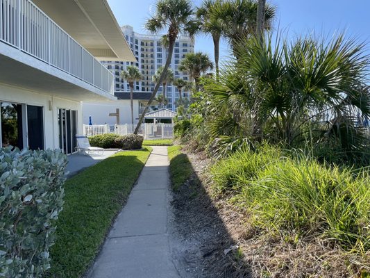 FOUR WINDS BEACH RESORT - Updated January 2026 - 17 Photos & 15 Reviews ...