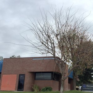 NICHOLAS G VANDERHYDE, DC, QME - Updated August 2025 - 321 Stine Rd ...