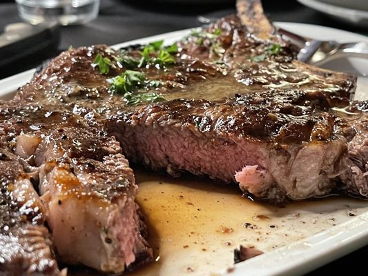 PRIME 88 STEAKHOUSE - 180 Photos & 109 Reviews - 15407 Cortez Blvd ...