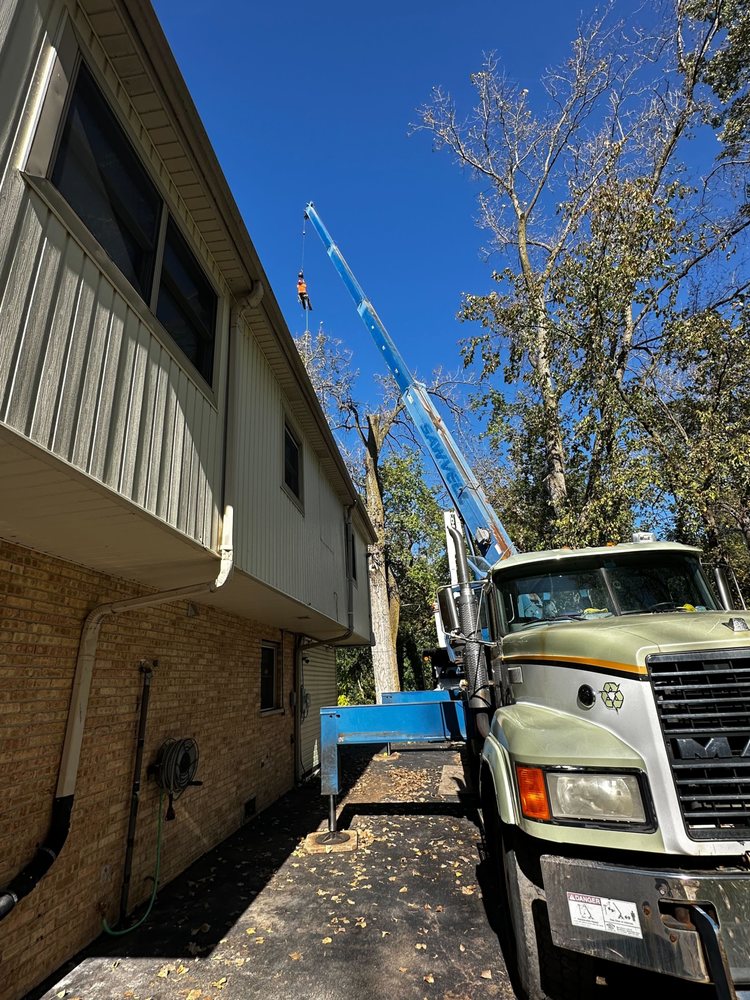 MONSTER TREE SERVICE OF THE NORTH SHORE - Updated January 2026 - 37 ...