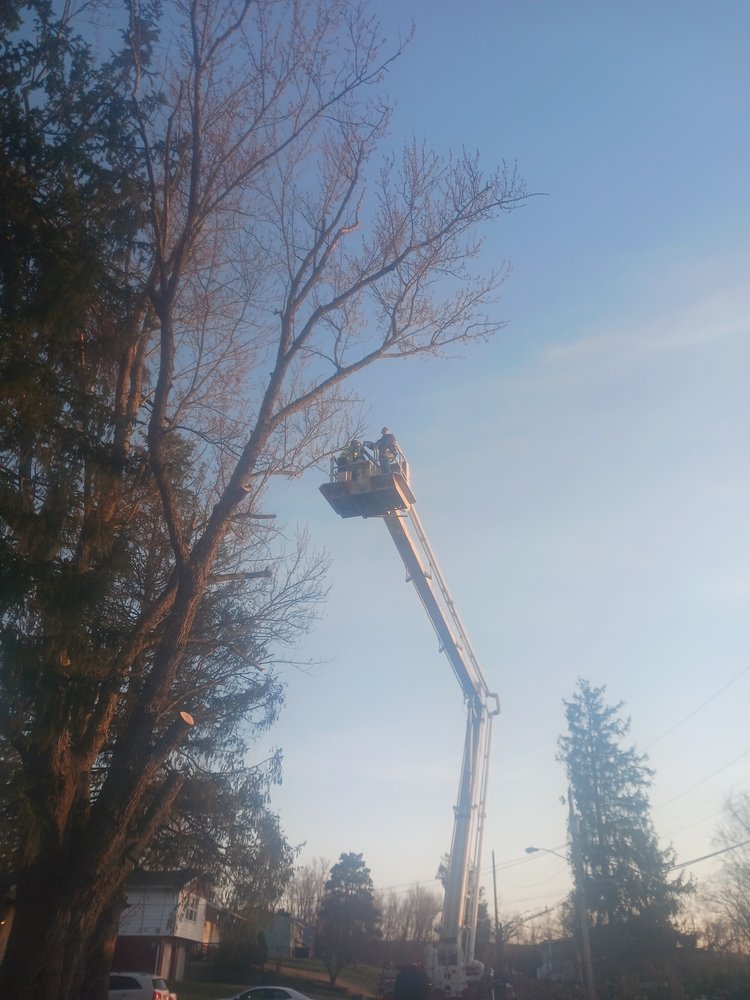 OHIO VALLEY LANDSCAPING - Updated May 2025 - 47 Photos - Mingo Junction ...