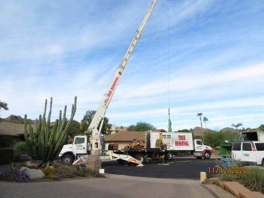 HAYWARD TREE SERVICE - Updated December 2025 - 109 Photos & 156 Reviews ...