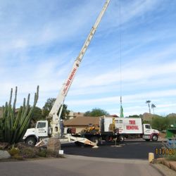HAYWARD TREE SERVICE - 103 Photos & 121 Reviews - Phoenix, Arizona ...