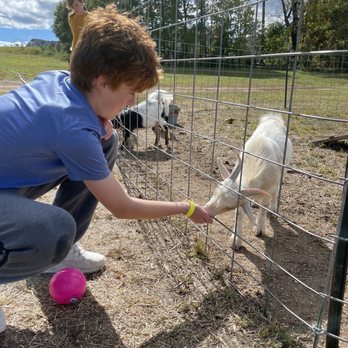 HOLDER HILL FARM - Updated December 2025 - 48 Photos & 15 Reviews ...