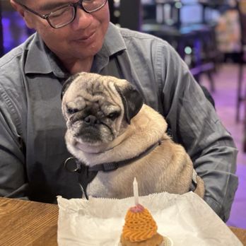 LE MARCEL BAKERY FOR DOGS - Updated September 2025 - 271 Photos & 167 ...