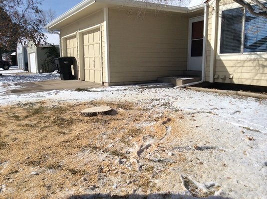 ALPINE ARBORIST PROFESSIONAL TREE CARE - Updated January 2026 - 38 ...