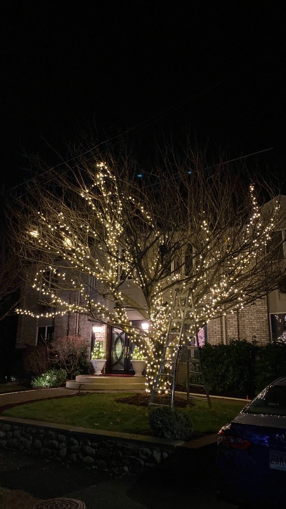 BOSTON LIGHTING DECOR - Updated April 2025 - 12 Westgate Dr, Woburn ...