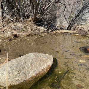 CAMP SEELY - 31 Photos - Hiking - 250 N Highway 138, Crestline, CA ...