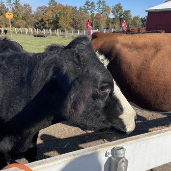 HANOVER VEGETABLE FARM - Updated January 2026 - 42 Photos & 26 Reviews ...