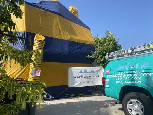 LONG BEACH TERMITE & PEST CONTROL - Updated January 2025 - 77 Photos ...