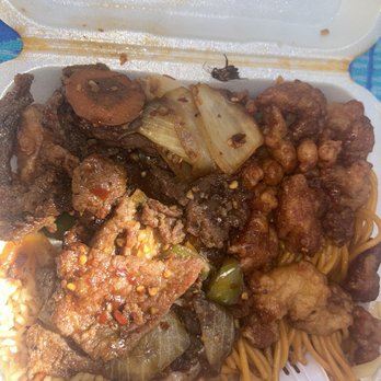 CHINA BULL EXPRESS - Updated September 2025 - 76 Photos & 51 Reviews ...