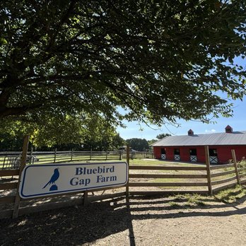 BLUEBIRD GAP FARM - Updated December 2025 - 222 Photos & 65 Reviews ...