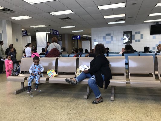 TEXAS DEPARTMENT OF PUBLIC SAFETY DRIVER LICENSE - Updated October 2025 ...