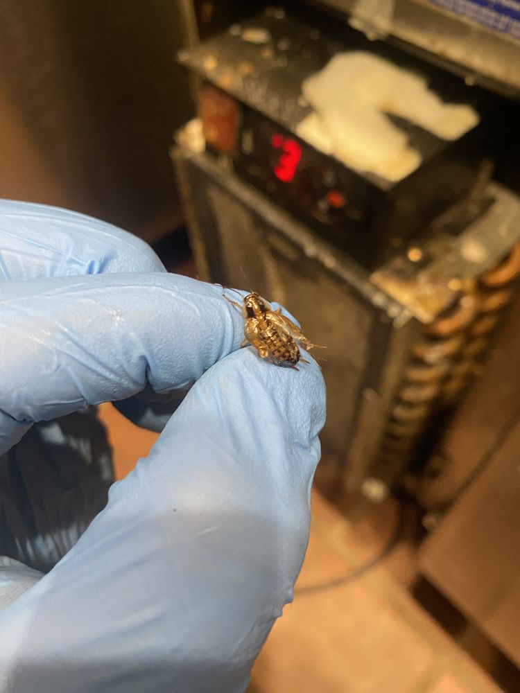 POWERHOUSE ANIMAL & PEST CONTROL - Updated January 2026 - 53 Photos ...