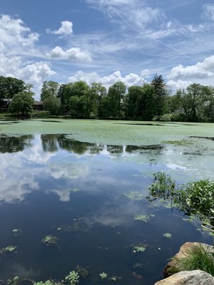 ELL POND PARK - Updated June 2025 - 24 Photos - Main St & Lebanon St ...