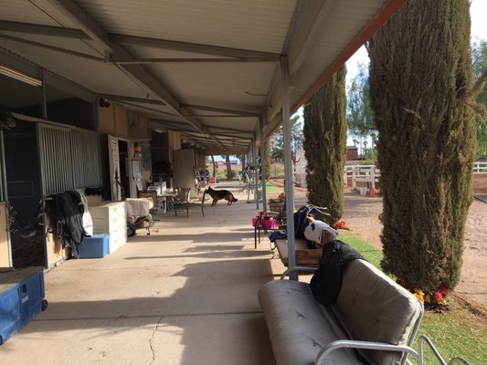 AMAZING GRACE STABLES - Updated October 2025 - 9185 S Buffalo Dr, Las ...