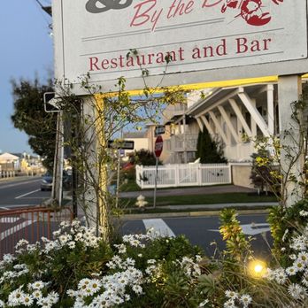 STEVE & COOKIE’S BY THE BAY - Updated November 2024 - 471 Photos & 502 ...