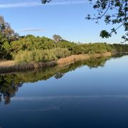 LAKE SOLANO COUNTY PARK AND CAMPGROUND - 115 Photos & 47 Reviews - 8685 ...