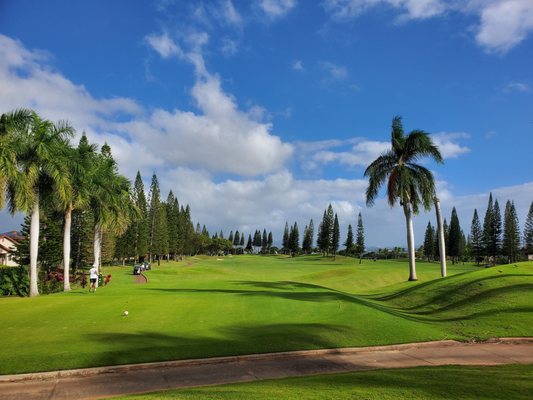 WAIKELE COUNTRY CLUB - 236 Photos & 137 Reviews - 94-200 Paioa Pl ...