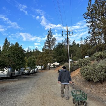 AUTOCAMP YOSEMITE - Updated April 2025 - 807 Photos & 197 Reviews ...