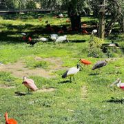 SAFARI WEST - 2841 Photos & 935 Reviews - Zoos - 3115 Porter Creek Rd ...