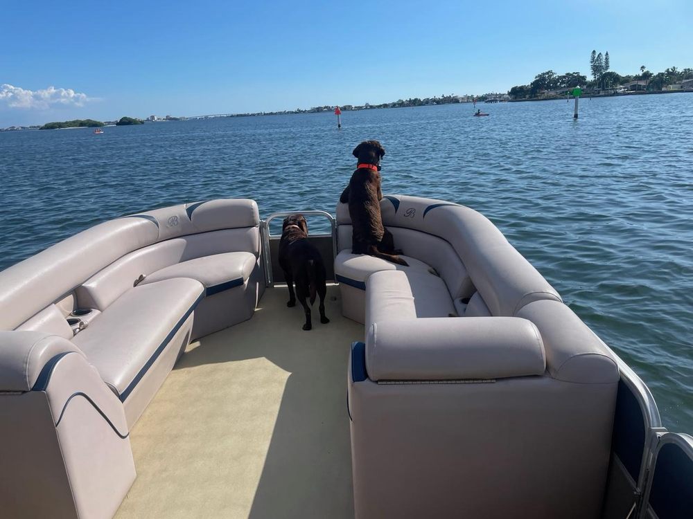 Lagoon Pontoons, Gulfport | Roadtrippers