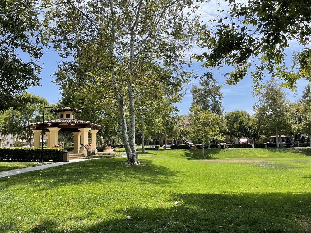 THE COMMONS PARK - Updated July 2025 - 13 Photos - Passage And Seasons ...